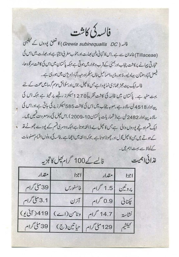 Falsa Cultivation in Pakistan / فالسہ کی کاشت - fasalbachao.com