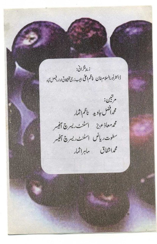 Falsa Cultivation in Pakistan / فالسہ کی کاشت - fasalbachao.com