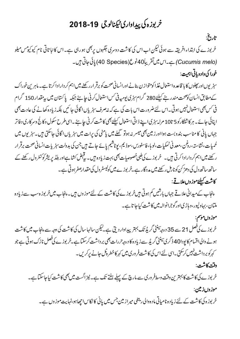 Melon in Pakistan / خربوزہ کی کاشت - fasalbachao.com