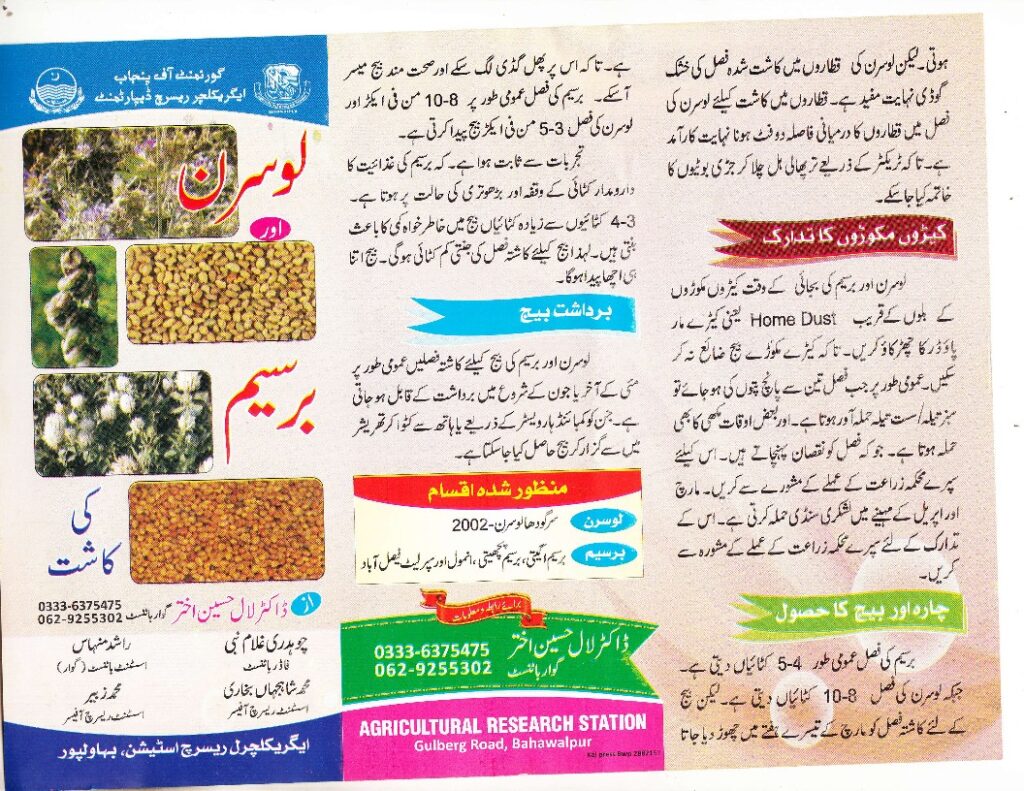 Berseem Fodder in Pakistan | برسیم کی کاشت - fasalbachao.com