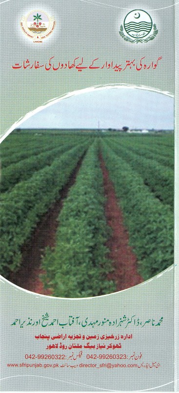 Guar Crop in Pakistan / گوار چارے کی کاشت - fasalbachao.com