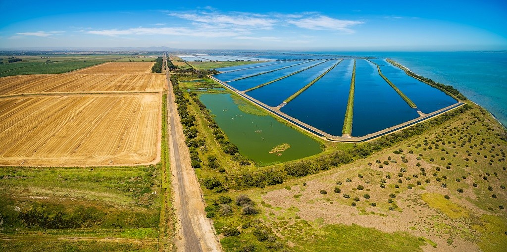 Wastewater Treatment Equipment: A Necessity for Sustainable Agriculture
