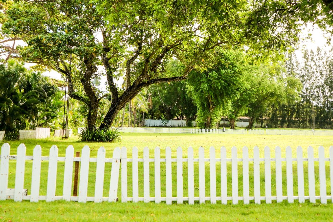 Yard Plan Like a Pro With These 7 Expert Tips - fasalbachao.com