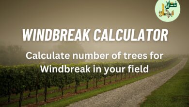 Tree Spacing Calculator - Calculate Trees per Acre - fasalbachao.com
