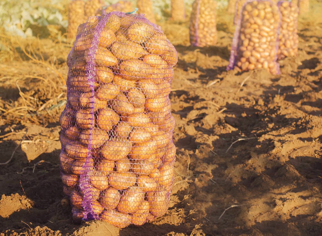 An Eco-Friendly Solution in Packaging: Potato Mesh Bags