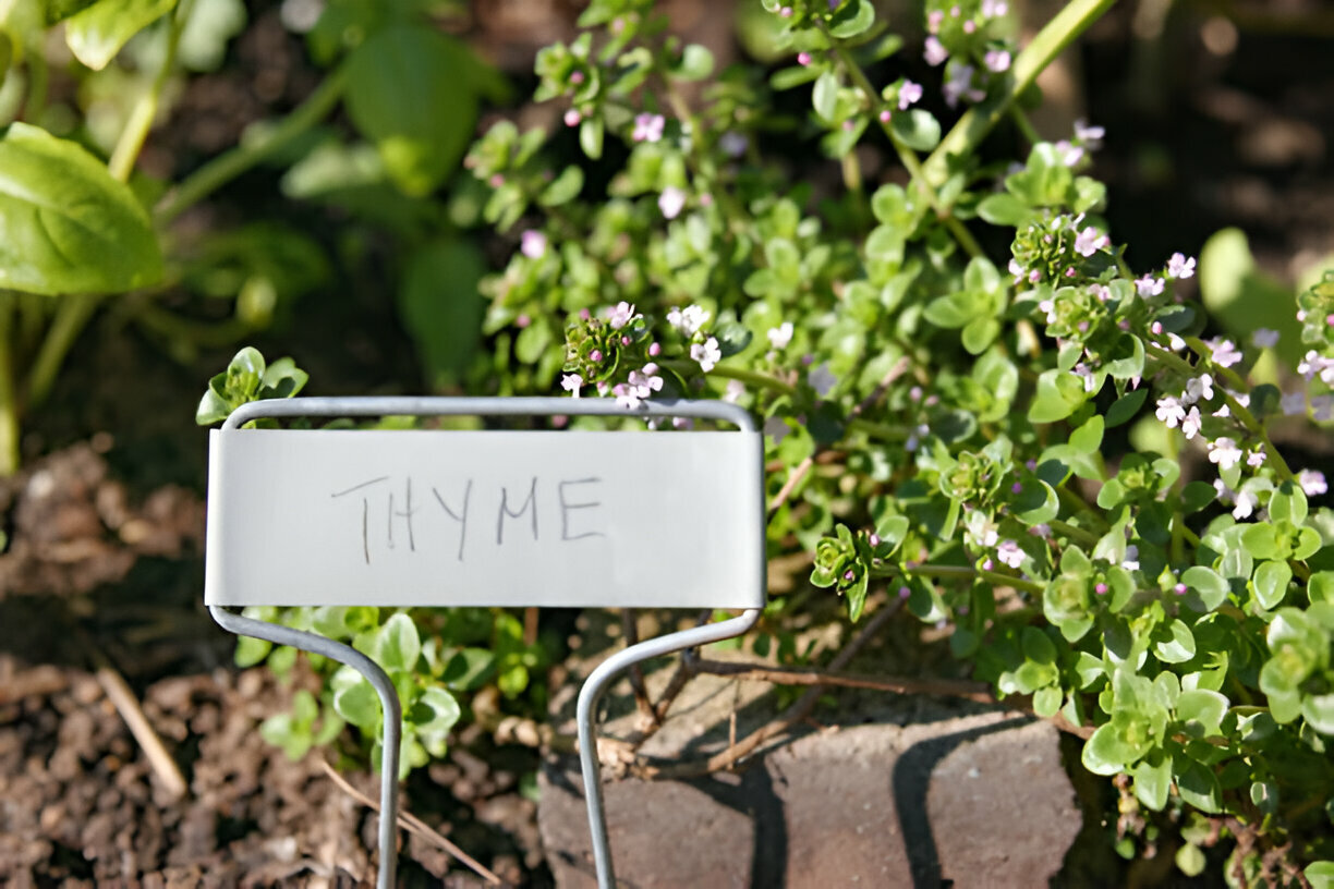 Transform Your Garden with Personalized Garden Signs and Tools ...