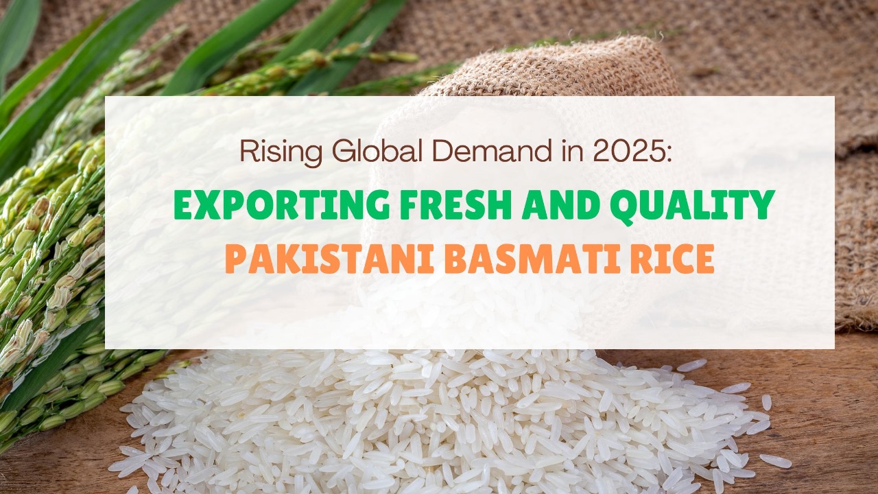 Rising Global Demand in 2025: Exporting Fresh and Quality Pakistani ...