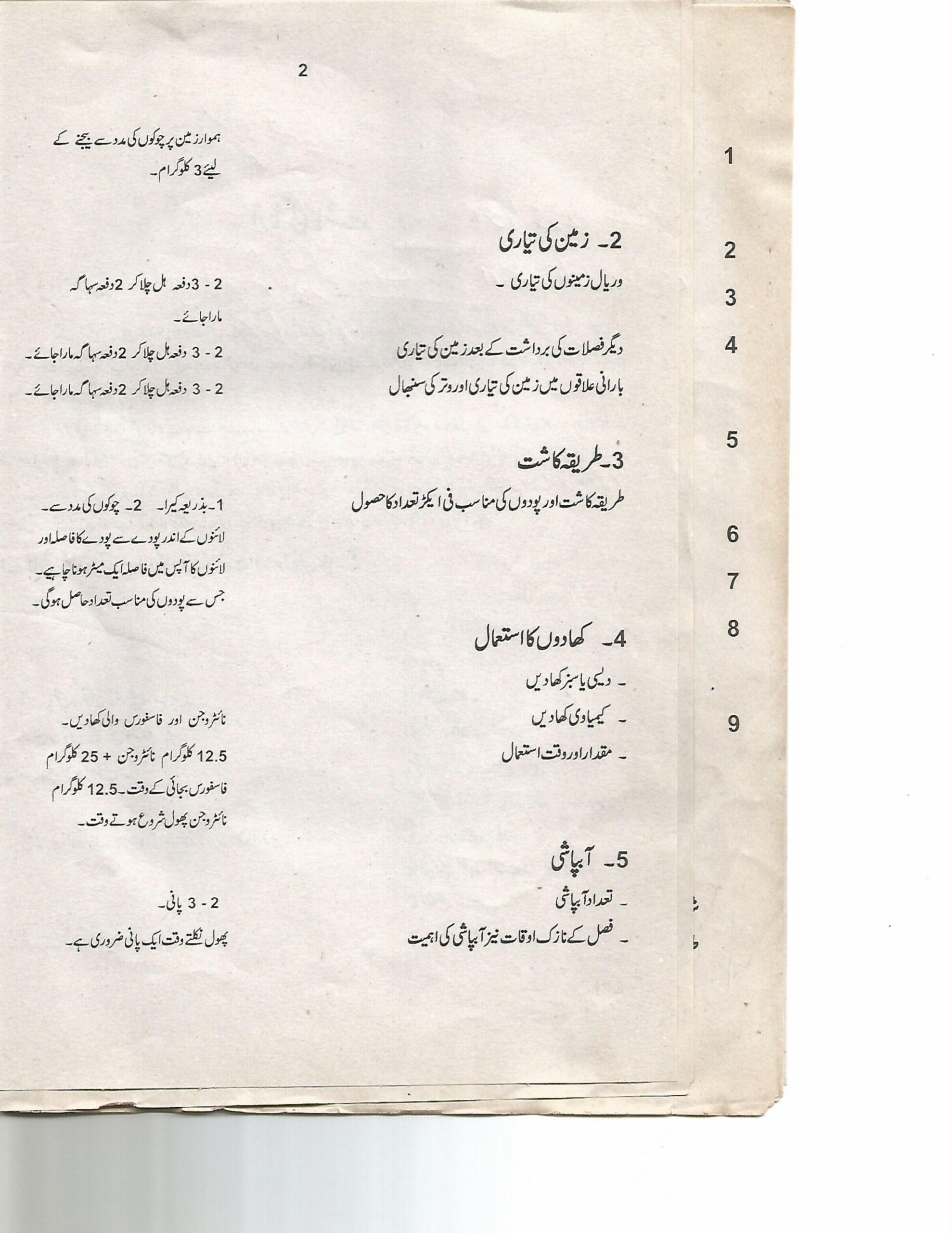 Arandi / Arind / Castor bean in Pakistan - fasalbachao.com