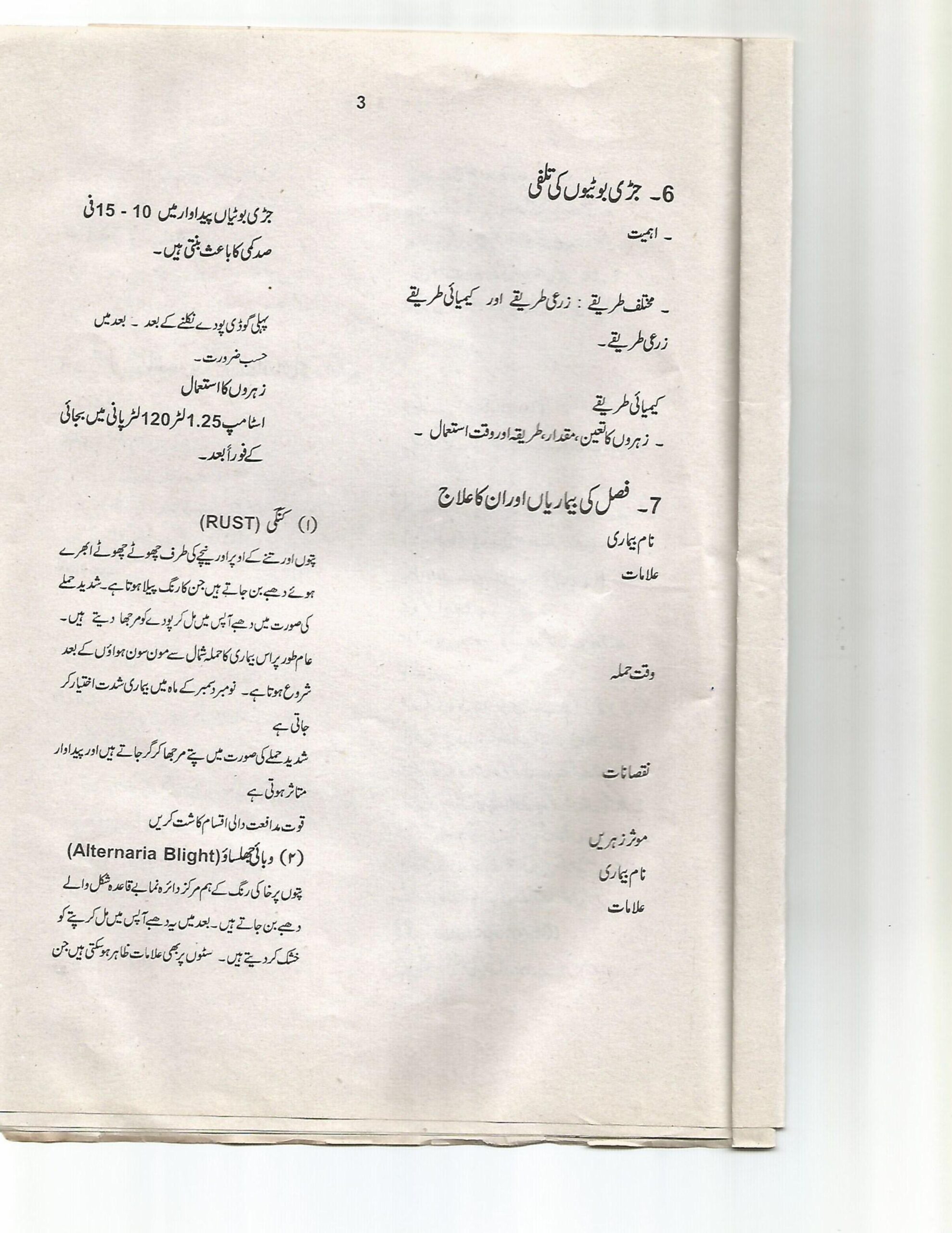 Arandi / Arind / Castor bean in Pakistan - fasalbachao.com