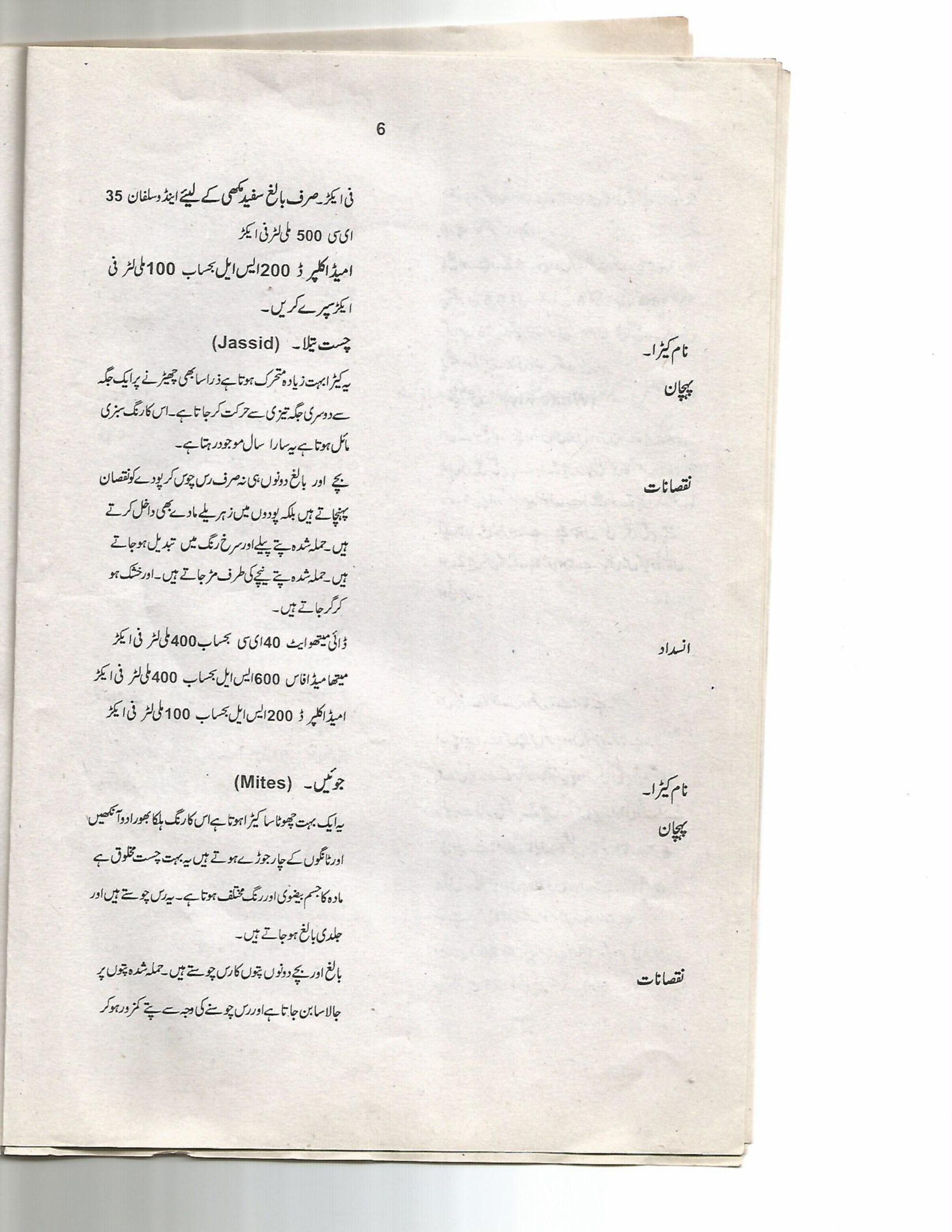 Arandi / Arind / Castor bean in Pakistan - fasalbachao.com